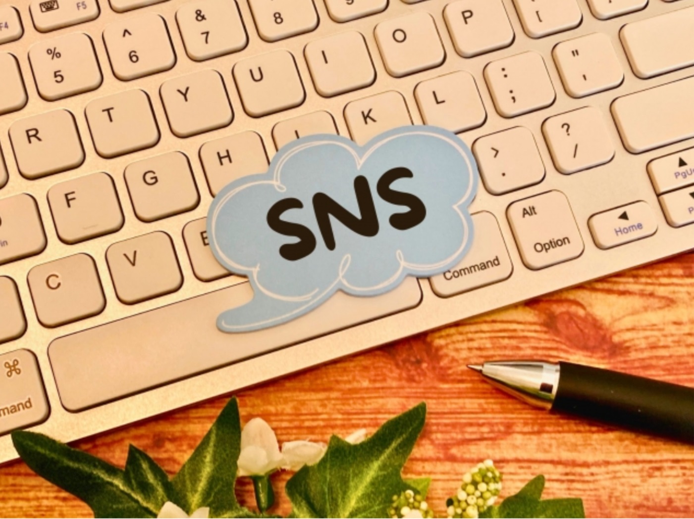 SNSにおける「いいね」の不法行為該当性について | OIKE LAW+